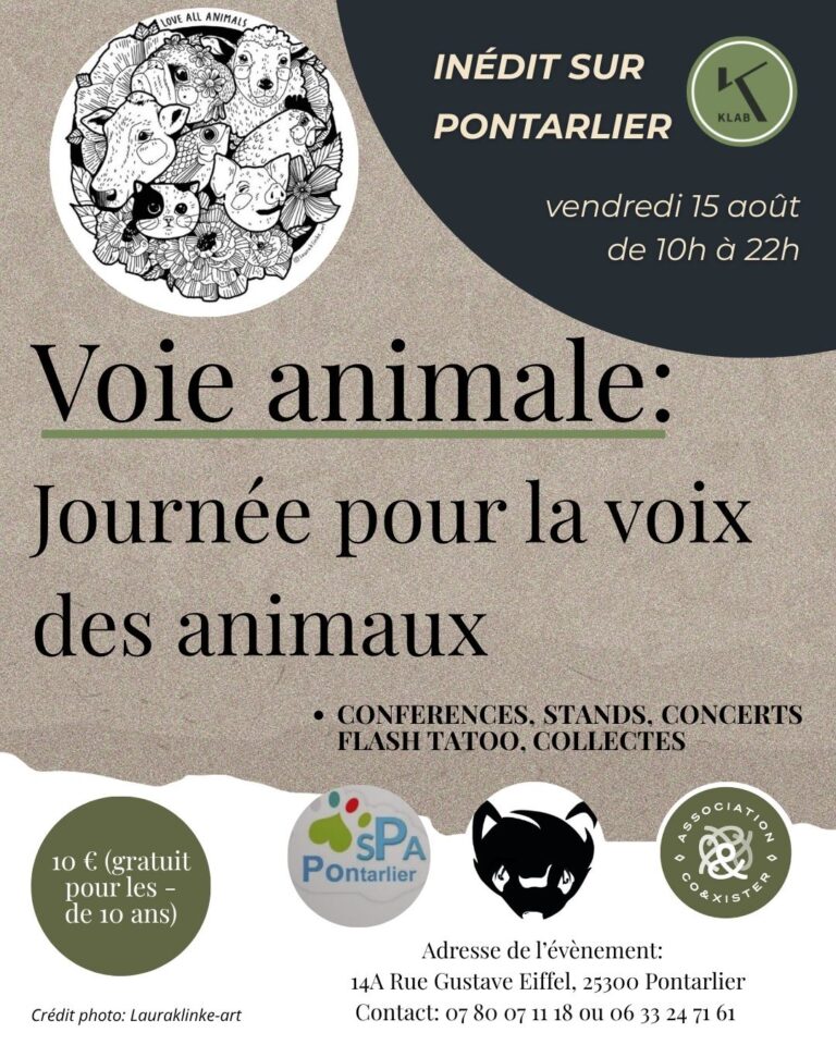 le KLAB° - leklab.fr